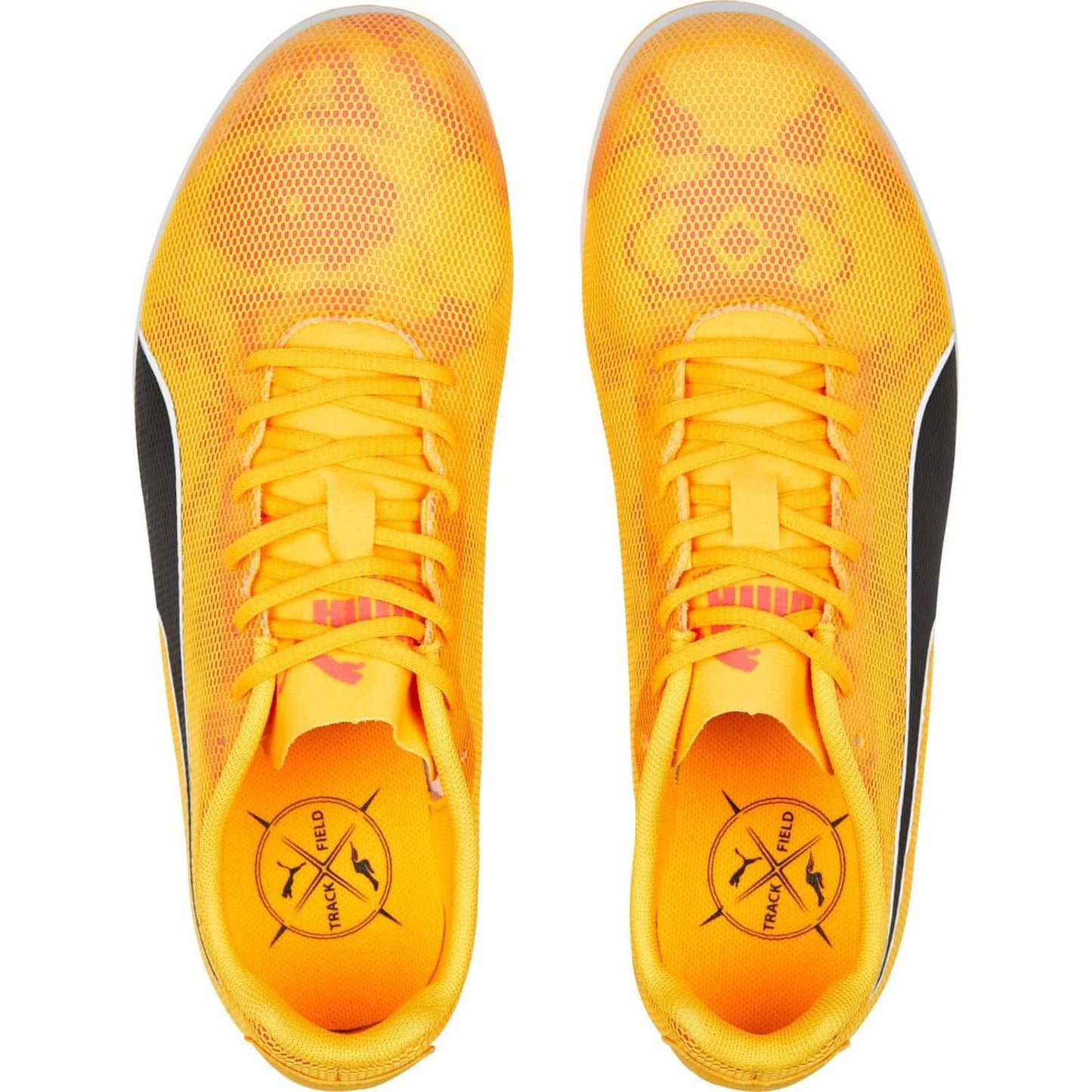 PUMA EVOSPEED STAR 8 - SUN STREAM-SUNSET GLOW-BLACK – Lotsa Shoes