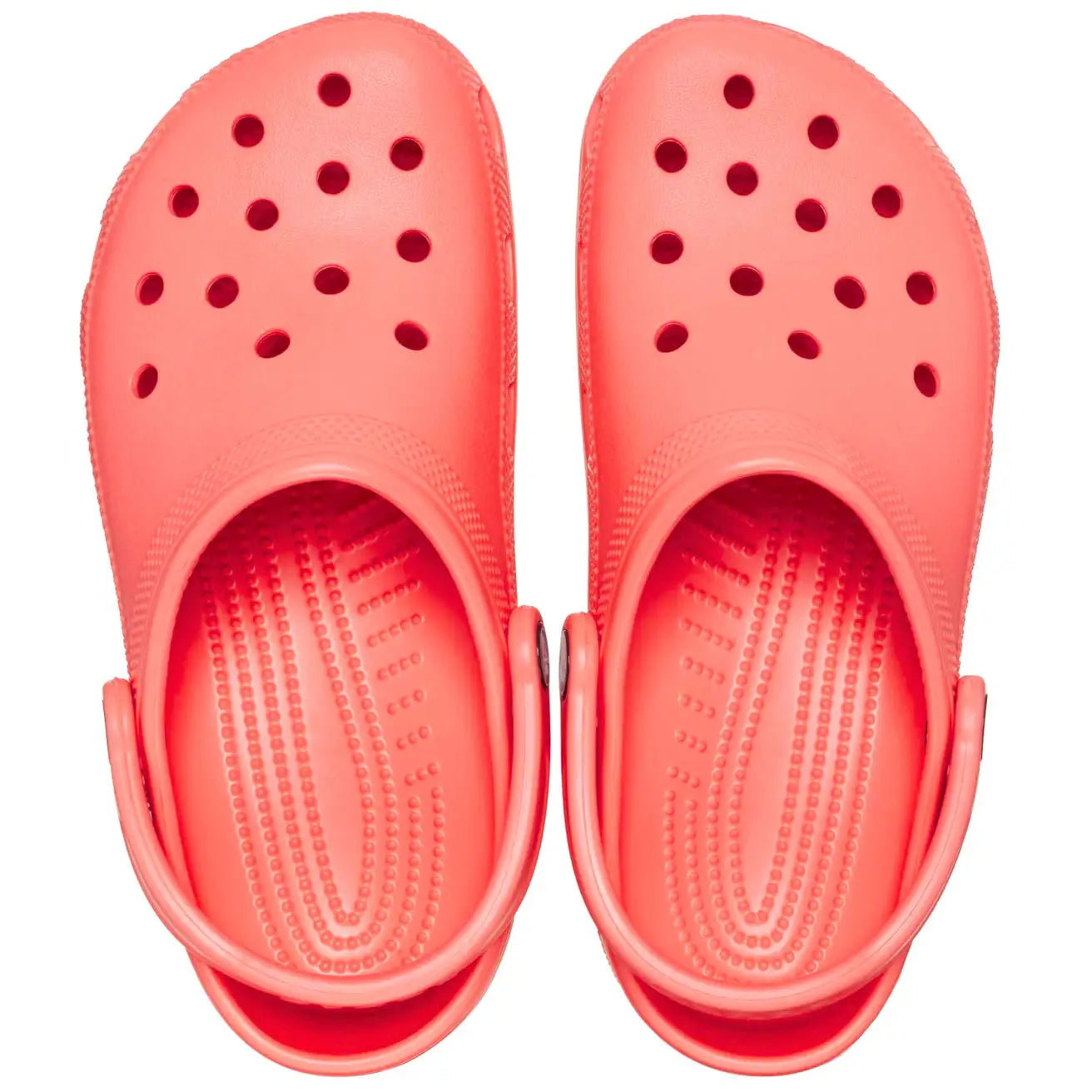 CROCS CLASSIC CLOG - NEON – Lotsa Shoes